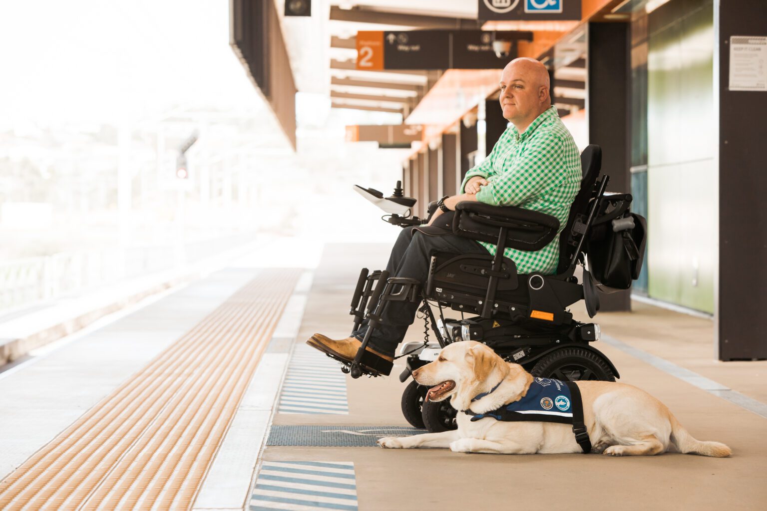 Assistance Dog Training: The Key Steps - Blue Badge Australia