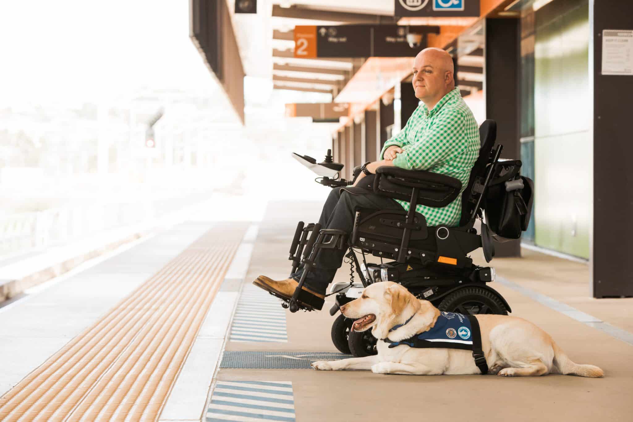 Assistance Dog Training: The Key Steps - Blue Badge Australia