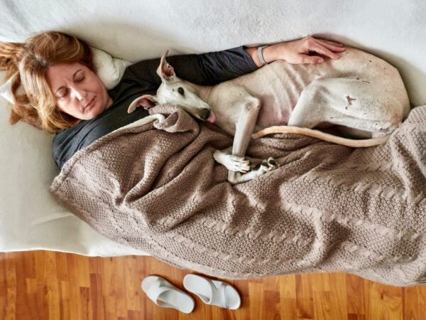 Benefits of Having a Dog or Cat in Your Life - Blue Badge Australia